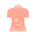 Ozempic Side Effects — Full FDA-Labeled List & Warning Signs